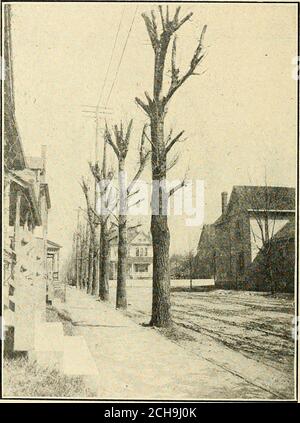 . Documentary journal of Indiana 1905 . trees. They were doing greiat ...