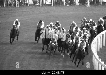 Roberto, Lester Piggott up Stock Photo - Alamy