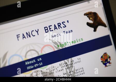 Fancy Bears website on a laptop Stock Photo - Alamy