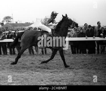 Horse Racing - Captain Christy. Mrs. J.M.A. Samuel's Captain Christy ...