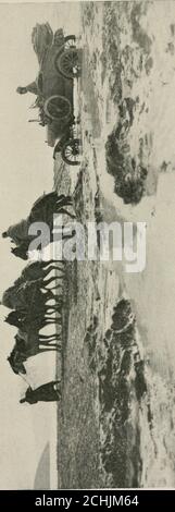 General Sir George F Milne, British army officer, WW1 Stock Photo - Alamy