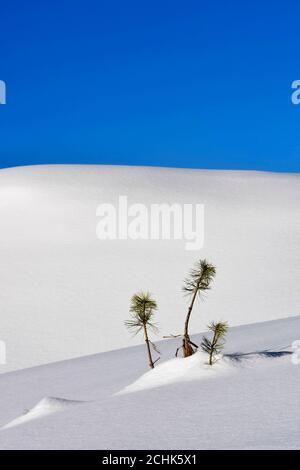 Italy Veneto Dolomiti Bellunesi - 5 Torri Stock Photo - Alamy