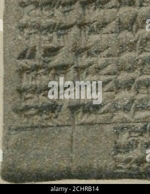 Specimen seal impression Stock Photo - Alamy