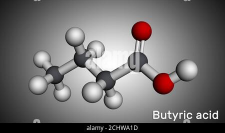 Butyric acid, butanoic acid molecule. Butyrates or butanoates are salts ...