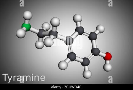 Tyramine, tyramin molecule. It is monoamine compound derived from ...