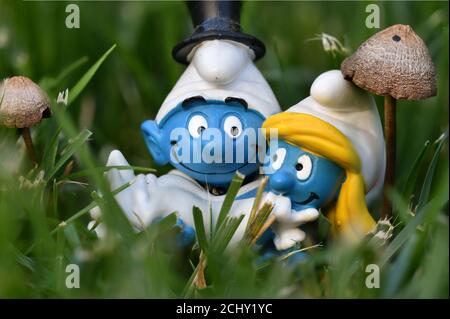 Smurfs from my backyard Stock Photo - Alamy