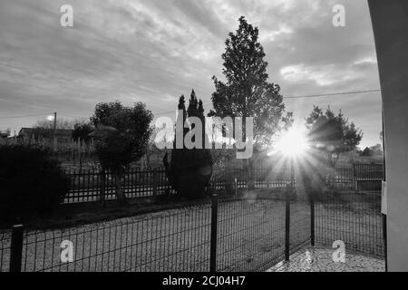 Beautiful grayscale shot of the sun shining through tree branches Stock ...