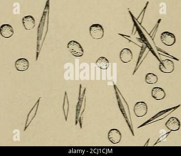 . A manual of clinical diagnosis by means of microscopical and chemical ...
