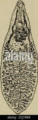 . A manual of clinical diagnosis by means of microscopical and chemical ...