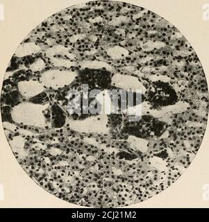 . The endocrine organs; an introduction to the study of internal ...