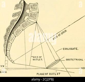 . The science and art of midwifery. Diameters of the outlet. The ...