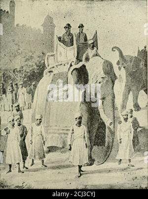 Good Morning Honolulu Stock Photo - Alamy