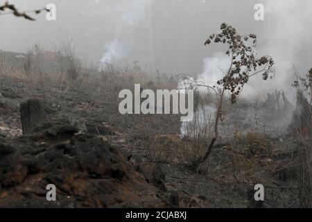 Estacada, USA. 14th Sep, 2020. Larry Weyand lived here with his wife ...