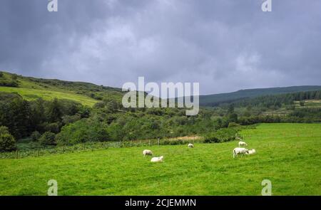 Ilse of Mull dramatic landscape, Scotland Stock Photo - Alamy