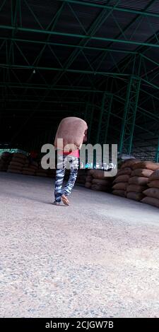 Indian man carrying a sack of rice on his head on a field ...