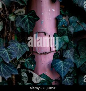 Closeup of a green rusty iron covered in dirt under sunlight during ...