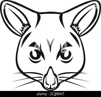 Possum Team Mascot Stock Vector Image & Art - Alamy