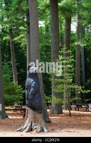 GRAY, ME –9 AUG 2020- View of the Maine Wildlife Park, a sanctuary ran ...