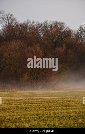 Icy hail covered farm fields, mist rising from ground, with passing ...