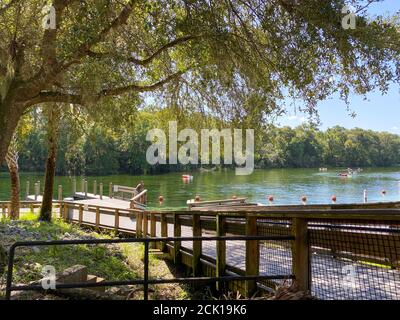 Dunnellon, FL/USA - 9/2/20: People kayaking from KP Hole County park ...
