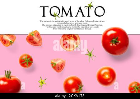 Tomato flat lay on pink background. Head on, medium shot, horizontal ...