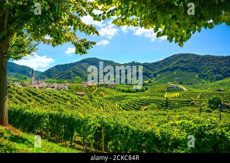 Prosecco Hills, vineyards, a tree and Guia village at dawn. Unesco Site ...