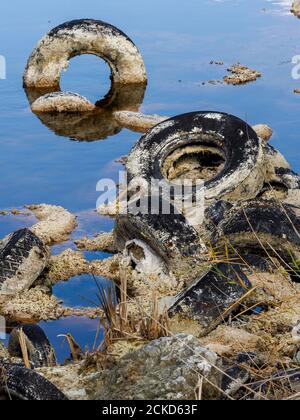 Polluted lagoon in Spain Stock Photo - Alamy