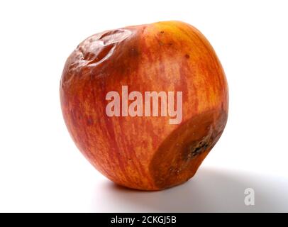 badly rotten apple on a white background Stock Photo - Alamy