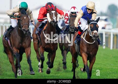 Dylan Hogan riding Inevitable Outcome (third left, green cap) win The ...