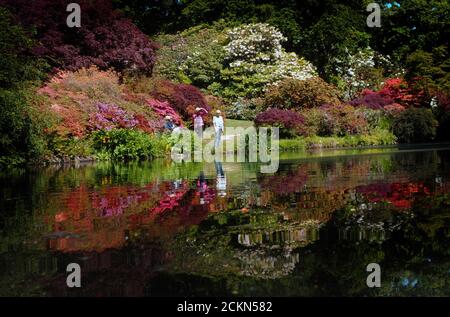 Exbury Gardens , Lionel de Rothschild rhododendrons & azaleas reserve ...