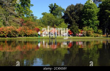 Exbury Gardens , Lionel de Rothschild rhododendrons & azaleas reserve ...