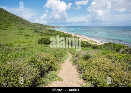 Jack and Isaac Bay with Caribbean Sea waves and coastal plants in the ...