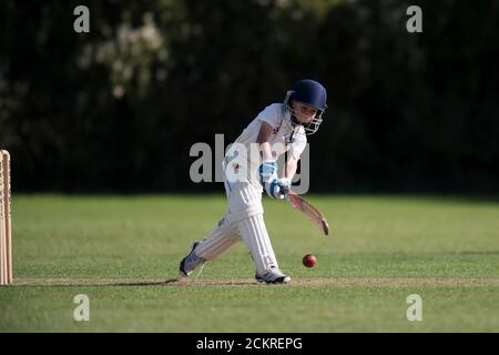 Young boy playing cricket shot during village cricket match for all ...