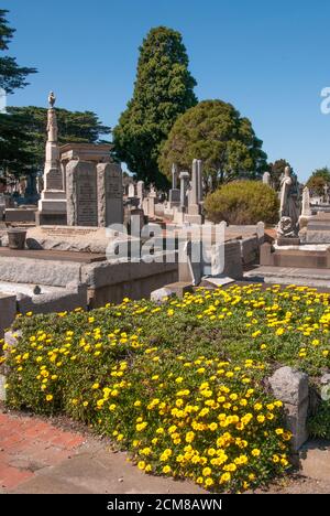 Established 1854, the garden-style Brighton General Cemetery is one of ...