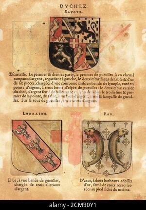 Coat of arms of the Duchy of Savoy with quartered arms with horses and ...