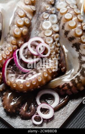 Octopus is raw, ready to cook. Close-up of a fresh raw octopus. seafood ...