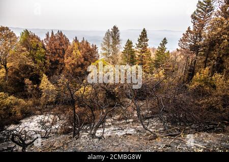 BONNY DOON, CALIFORNIA - SEPTEMBER 16: A general view of destroyed ...
