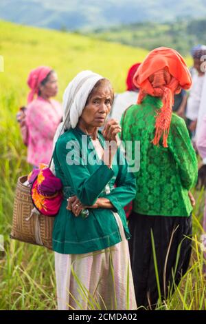 Tribespeople in Maguindanao at Mt Firis to perform a ritual on the ...
