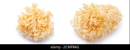 Snow Fungus, Tremella fuciformis. Also known as Snow Ear, Silver Ear ...