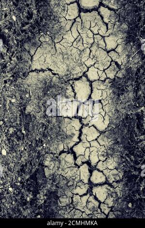 Dry lake mud pattern Stock Photo - Alamy