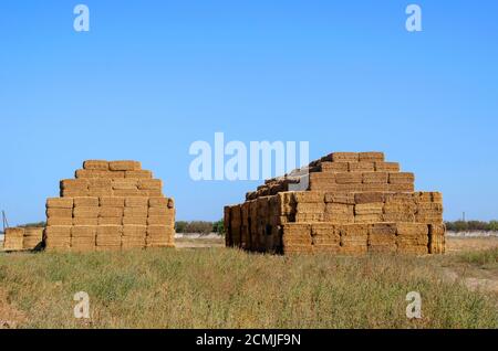 A warehouse with stacks of animal feed Stock Photo - Alamy