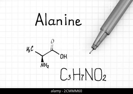 Alanine (L-alanine, Ala, A) amino acid molecule. Skeletal formula Stock ...