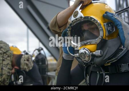 Joint UCT Diver Training 150116 Stock Photo - Alamy