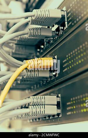 Patch Panel server rack with gray cords Stock Photo - Alamy