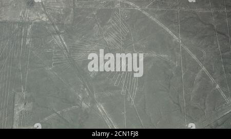 The Condor Nazca Lines Nazca Desert, Peru Stock Photo - Alamy