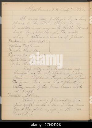 Journal,1882 1885 (Page 104) BHL40341457 Stock Photo - Alamy