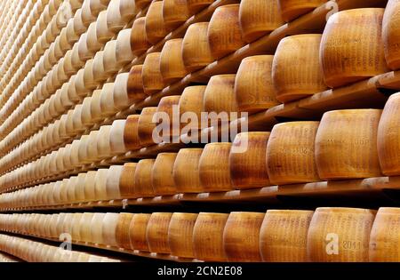 Parmesan cheese storage in Reggio Emilia, Italy Stock Photo - Alamy