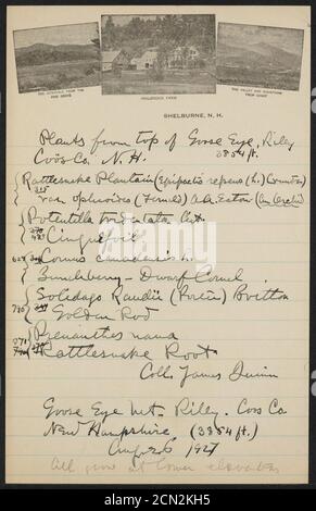 Journal,1895-1896 (bulk), 1895-1927 (inclusive Stock Photo - Alamy