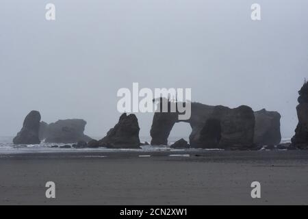 Elephant Rock, Quinault Indian Reservation, Pacific Coast, Washington ...