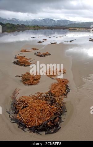 Henderson Lagoon at Falmouth on the east coast of Tasmania Stock Photo ...